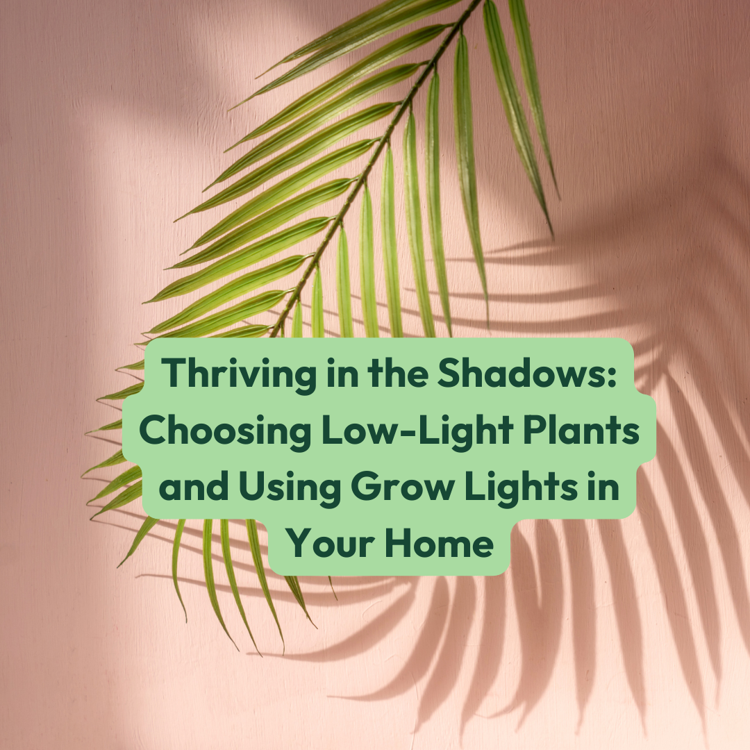 Thriving in the Shadows: Choosing Low-Light Plants and Using Grow Ligh ...
