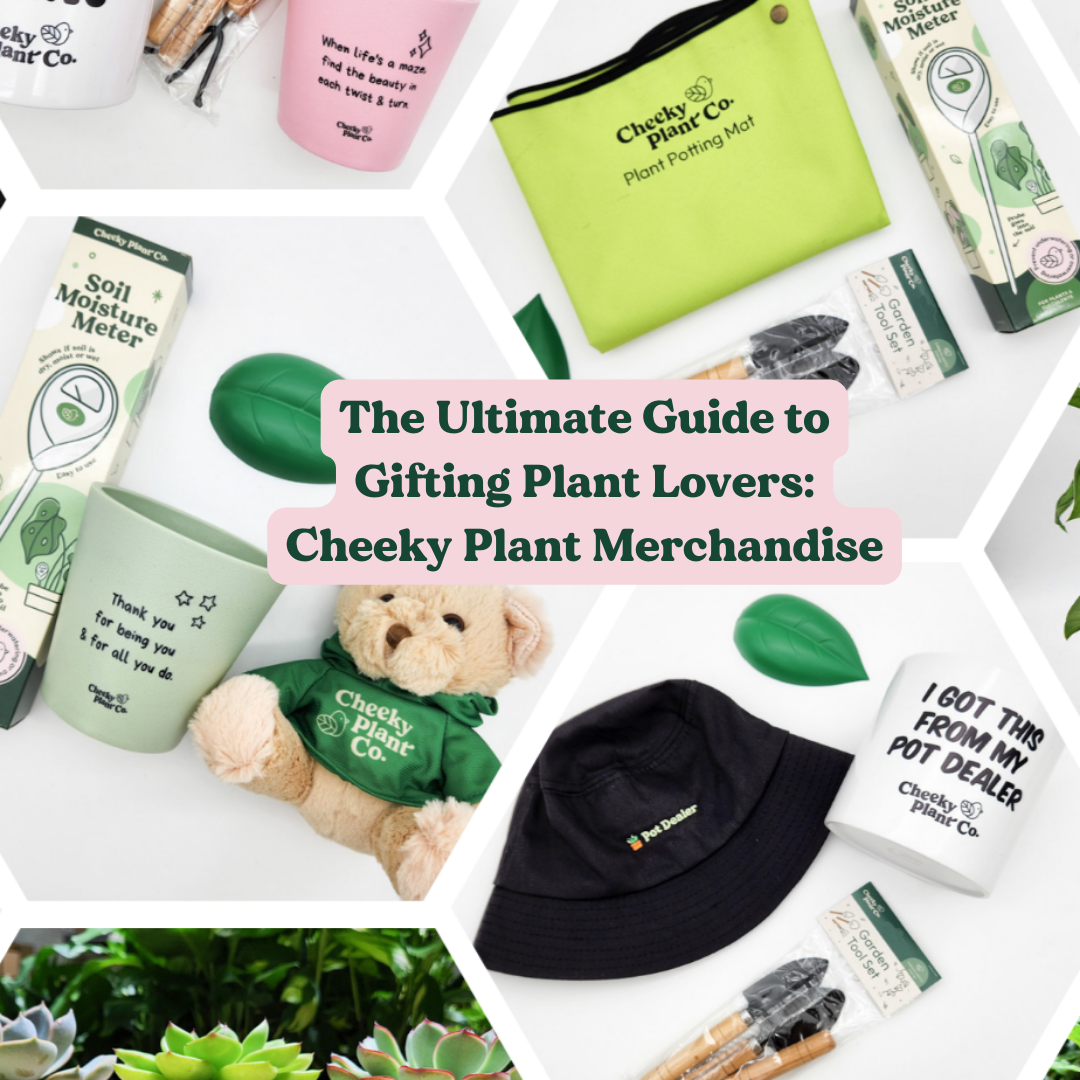 The Ultimate Guide to Gifting Plant Lovers: Cheeky Plant Merchandise ...