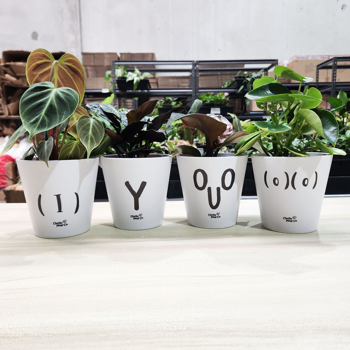 Rude Pots Four Pack - Cheeky Plant Co. Pots - 13.5cmD x 11.5cmH - Inte